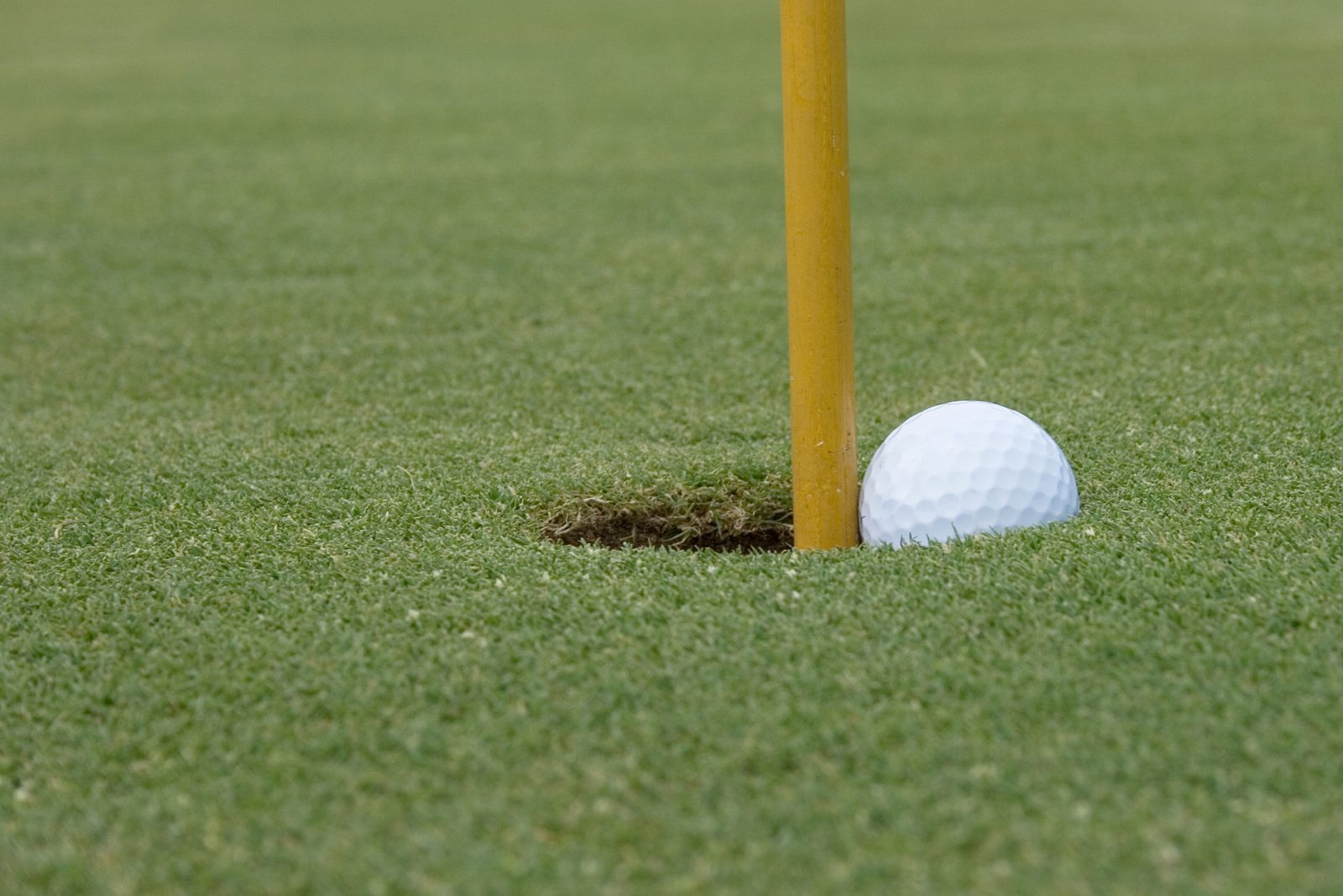 The Science Behind a Hole-in-One: Probability, Luck, or Skill ...